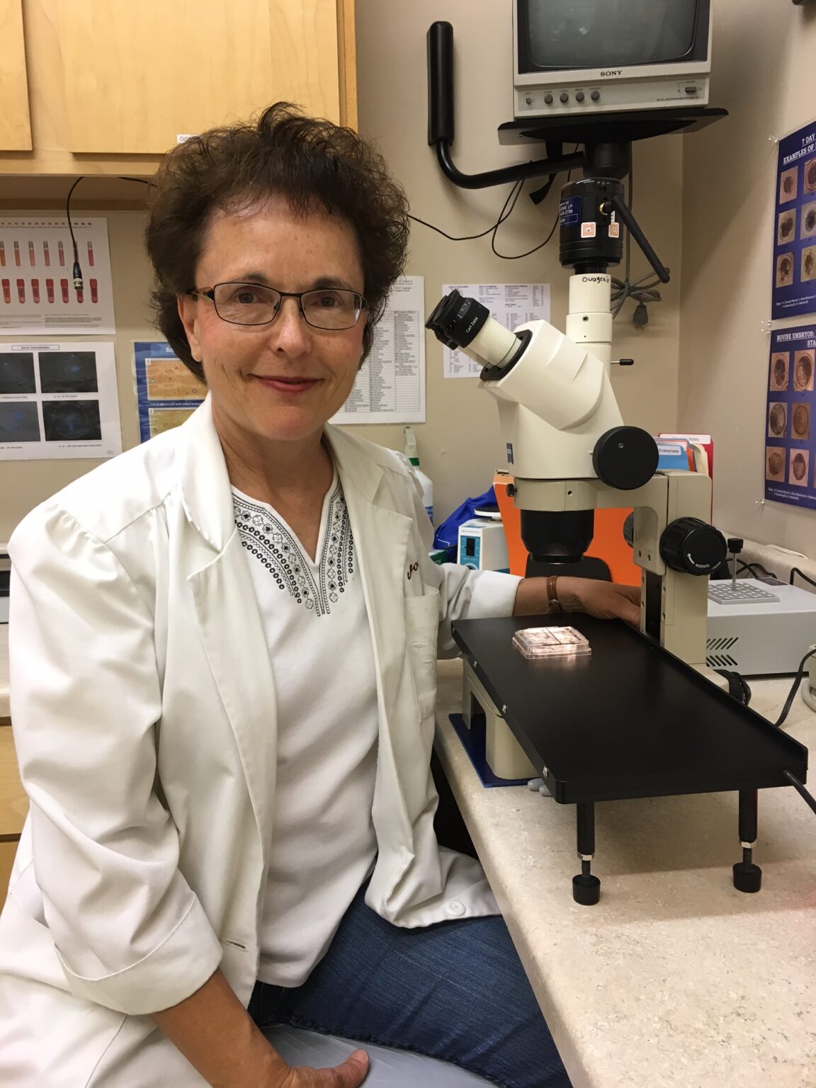 Jane Pryor - Equine IVF